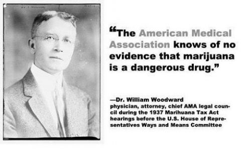 Dr. William C. Woodward - The First Medical Marijuana Doctor & Lawyer