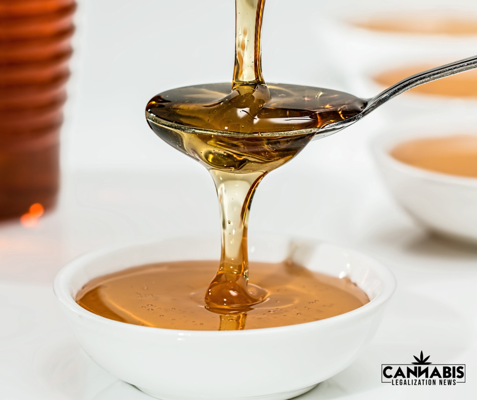 Cannabis Extraction and Distillation - How to Make Cannabis Concentrates