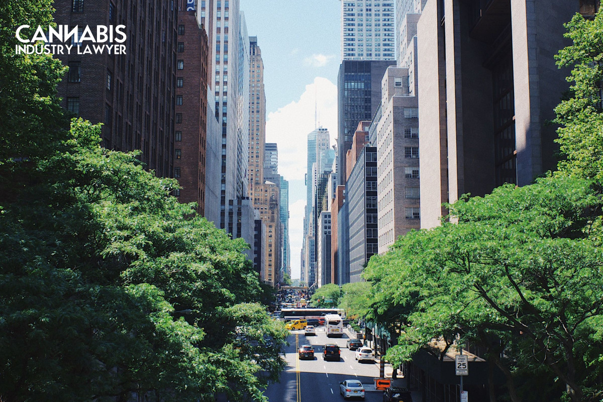 New York Cannabis Cultivation License Application Information