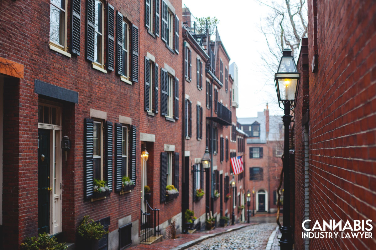 How to Apply for a Massachusetts Cannabis License