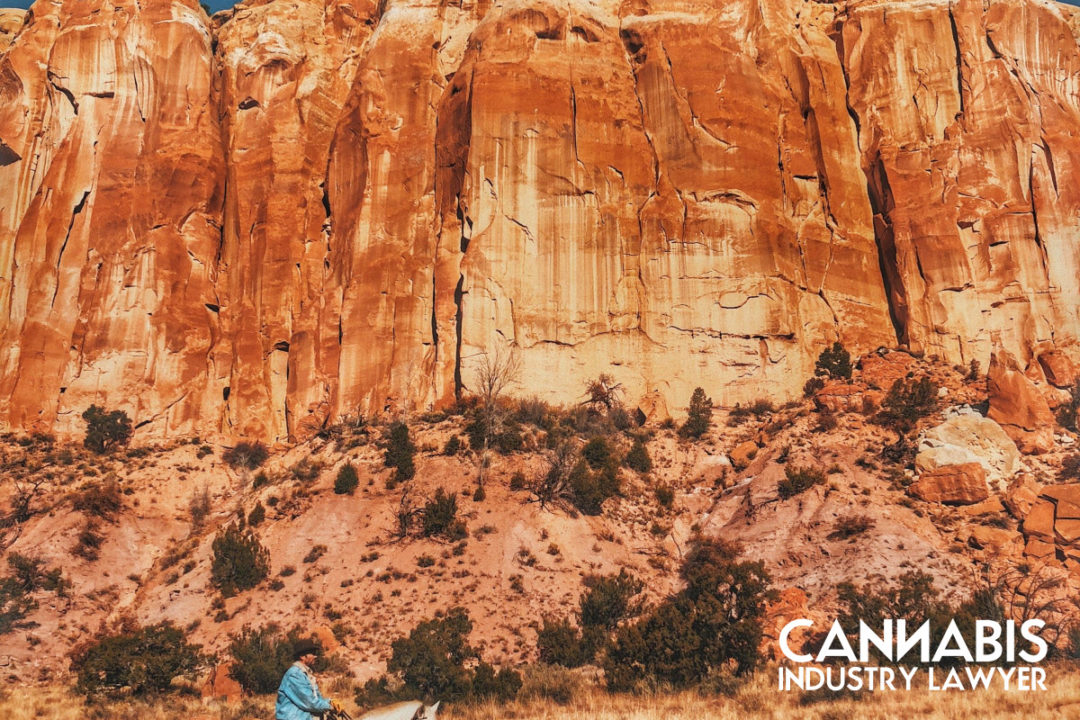 New York Cannabis Distributor License | MAY 2022 UPDATE - Definition ...