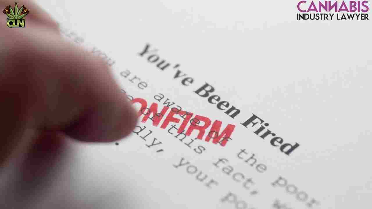 How to Apply for a Massachusetts Cannabis License